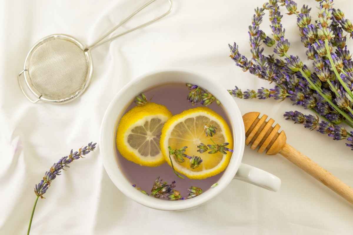 manfaat teh lavender untuk kesehatan - Tsurayaa Tea | Teh Artisan ...