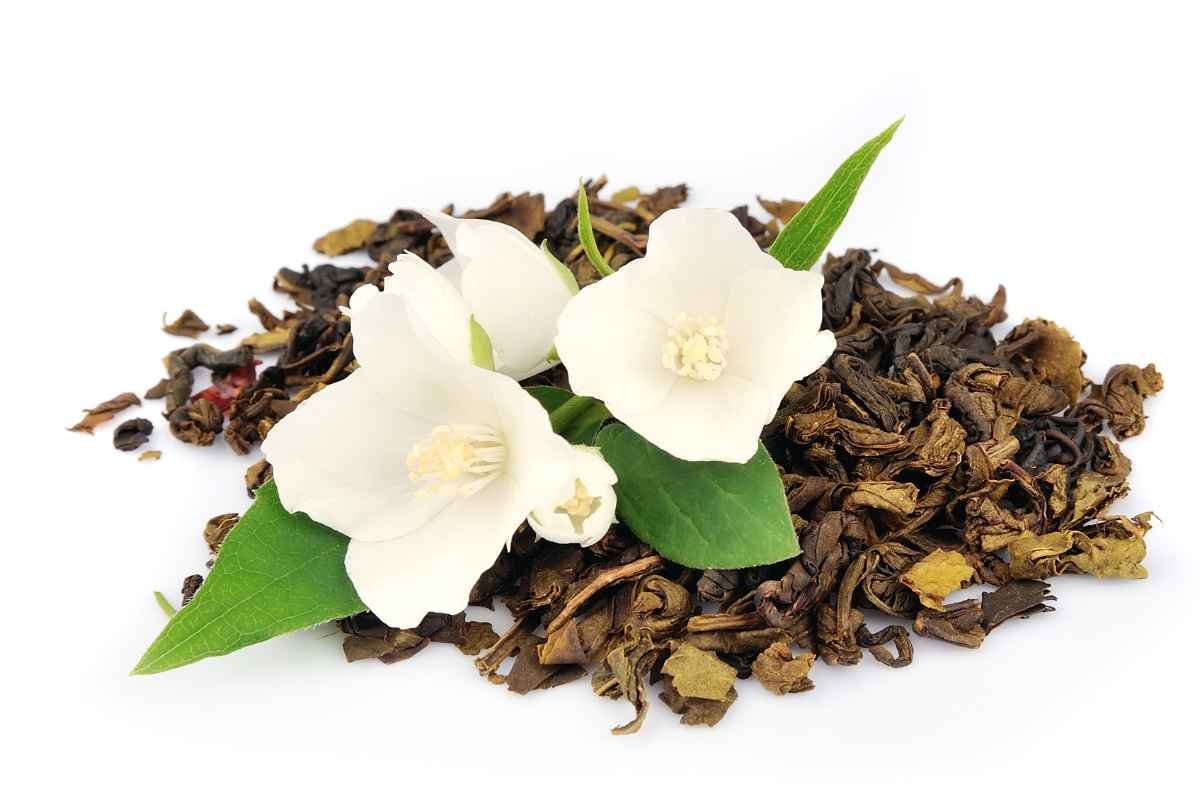 Rasa jasmine tea - Tsurayaa Tea | Teh Artisan Terbaik di Bandung